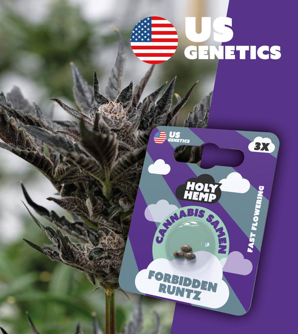 Forbidden Runtz Cannabis Samen - Cali Seeds